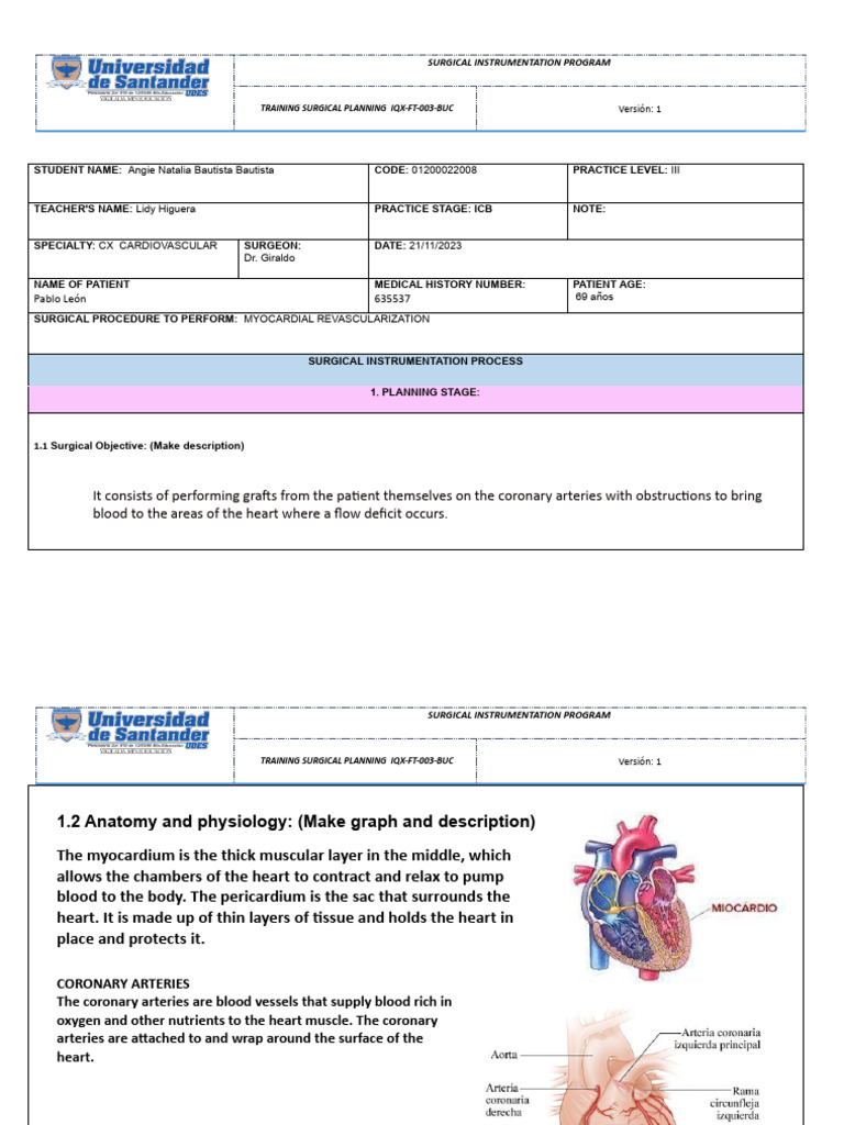 Planeamientoo RVM 3 | PDF | Heart | Coronary Circulation