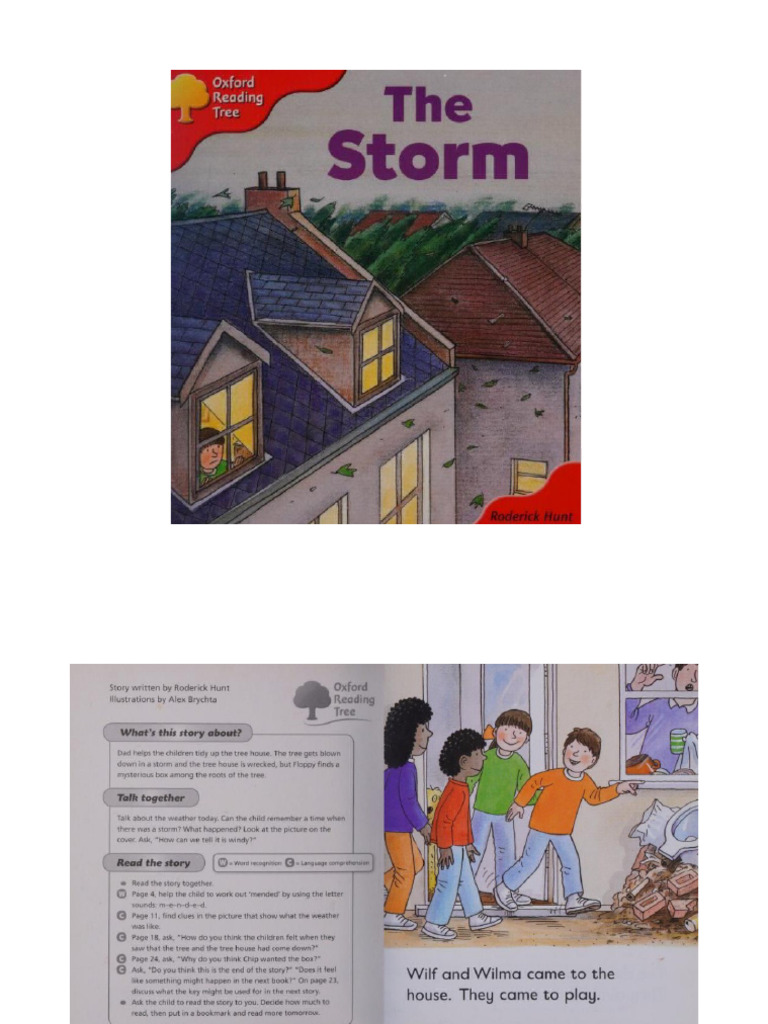 Oxford Reading Level 3-The Storm | PDF