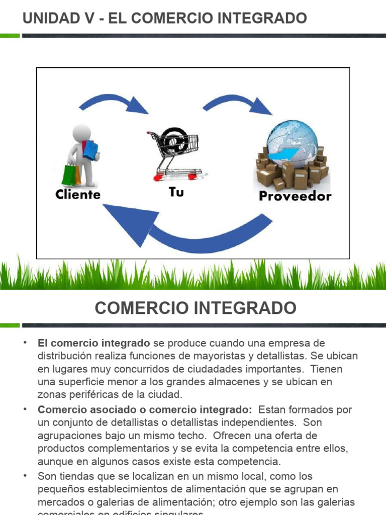 Guía del Comercio Integrado | PDF | Supermercado | Grandes almacenes