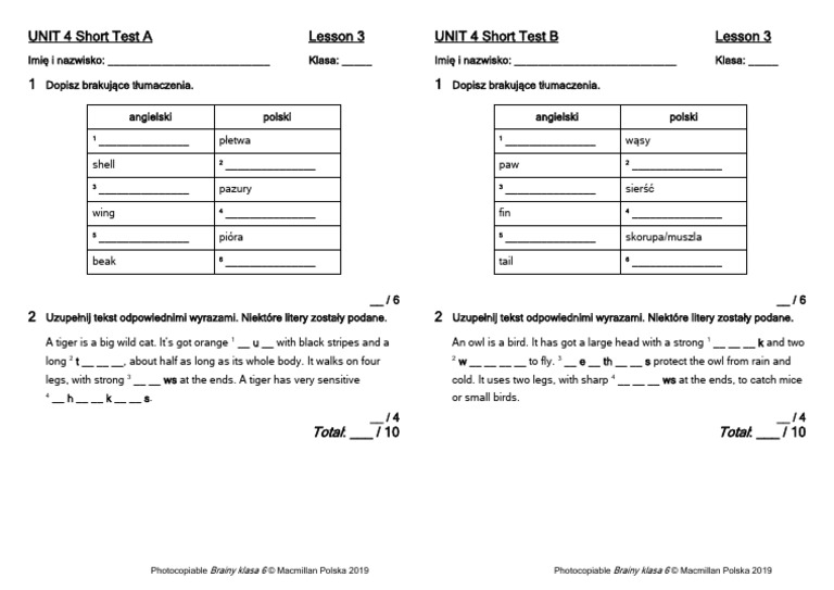 Brainy kl6 Short Tests Unit 4 Lesson 3 | PDF