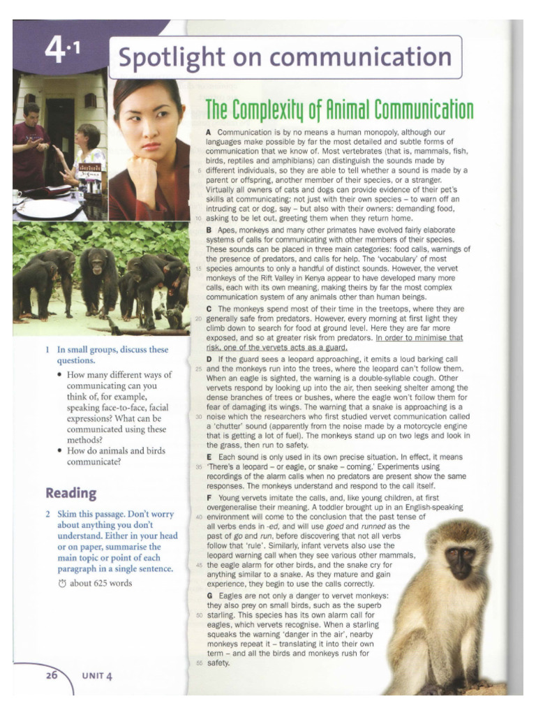 Matching Information | PDF | Communication | Linguistics