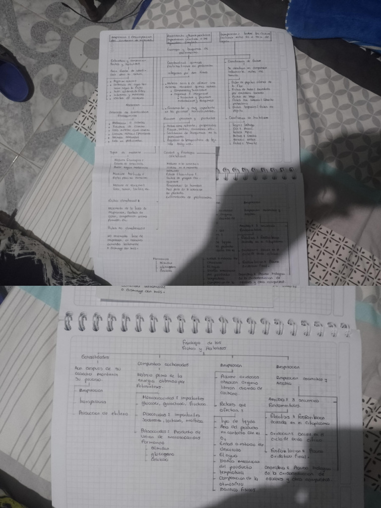 Mapas Jair Mesa | PDF