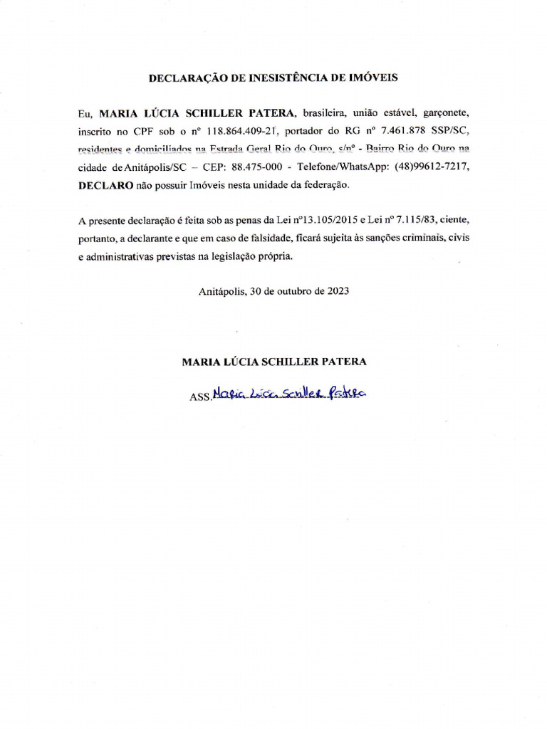 Declaração de Inesistência de Imóveis | PDF