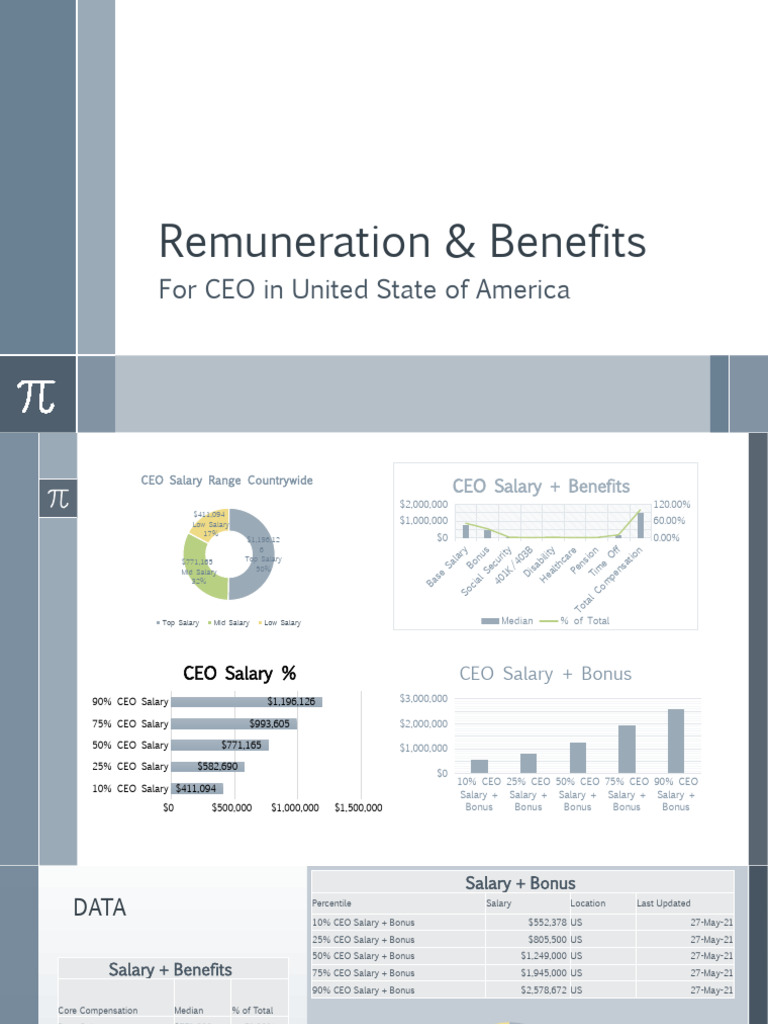 CEO Remuneration & Benefits | PDF | Salary | Expense