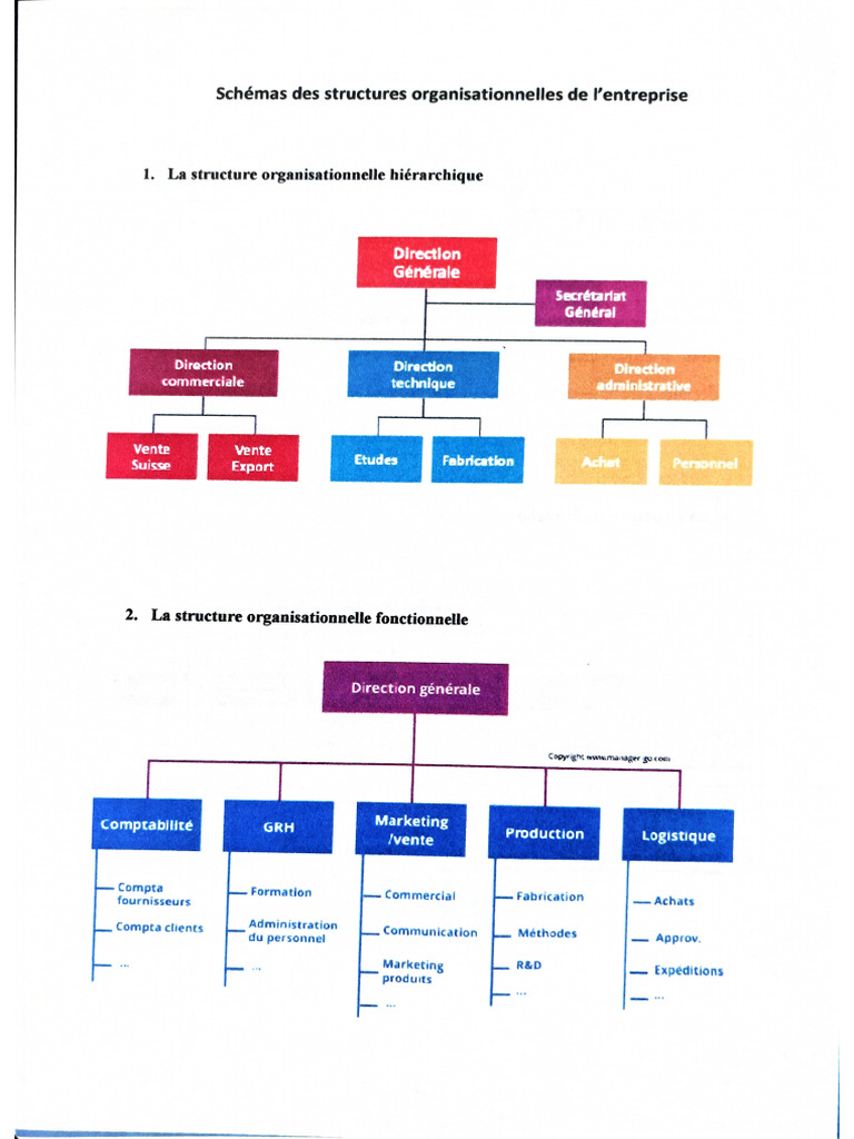 Schémas Des Structures Organisationnelle de L'entreprise | PDF