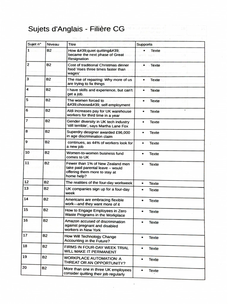 Sujets D'anglais - BTS CG | PDF