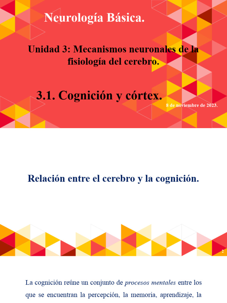 Procesos Cognitivos y Percepción Cerebral | PDF | Percepción | Cognición