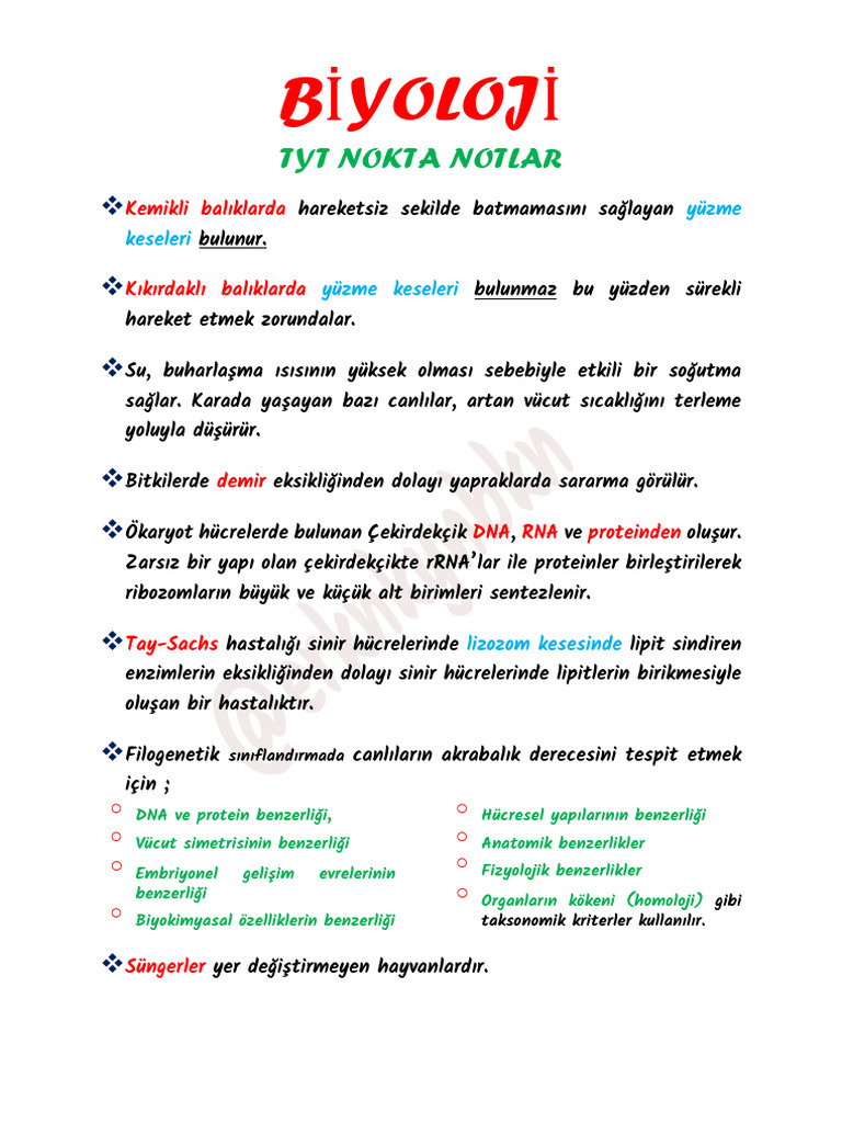 Biyoloji Tyt Nokta Notlar | PDF
