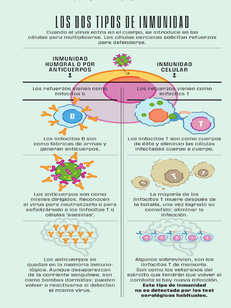 Tipos de Inmunidad | PDF