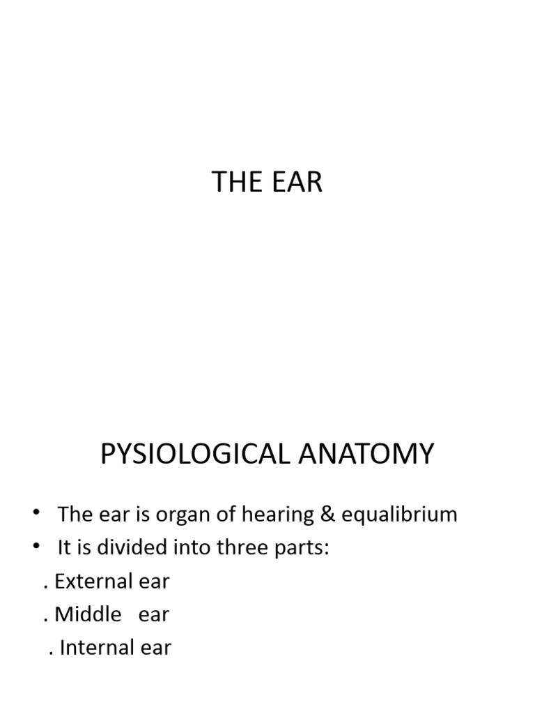 The Ear | PDF | Ear | Auditory System