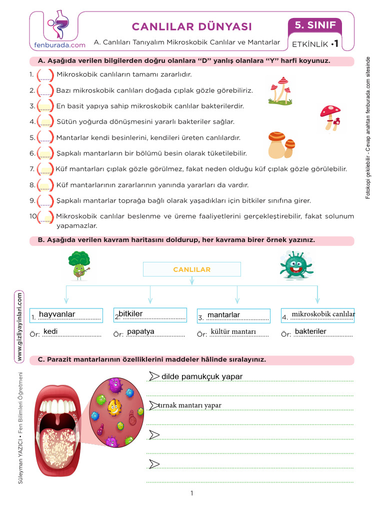 A. Canlilari Taniyalim, Mi̇kroskobi̇k Canlilar Ve Mantarlar | PDF
