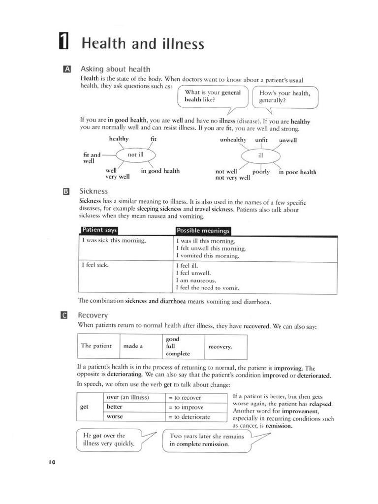 Human Body - Medical English - B3 | PDF