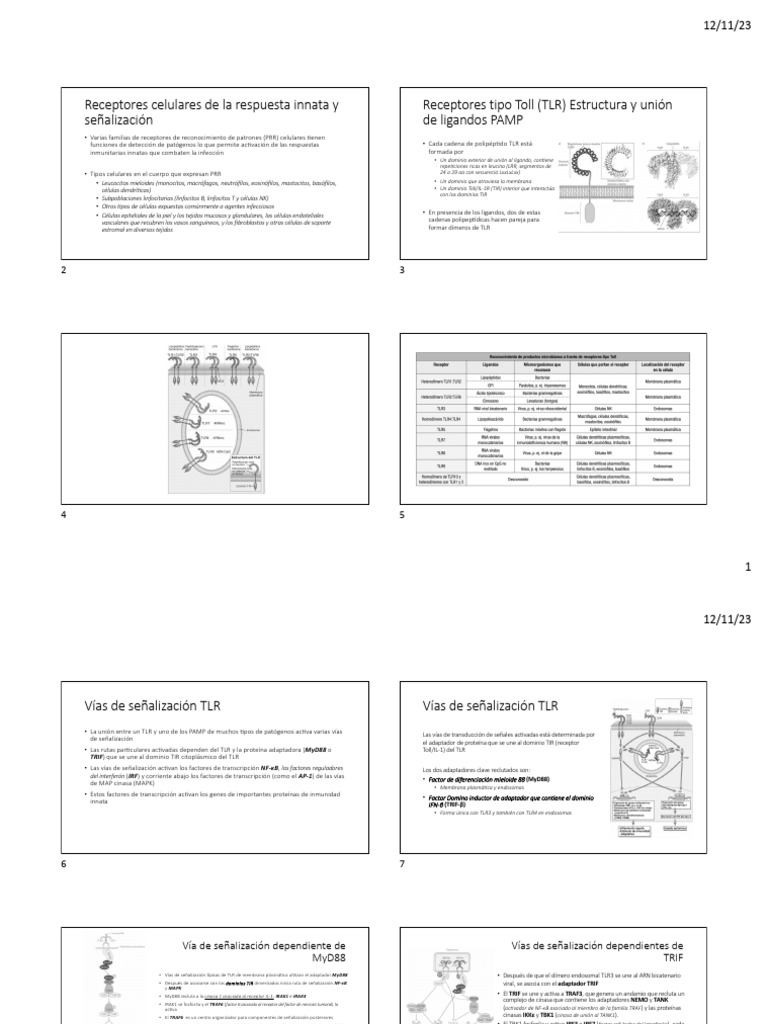 Reconocimiento De La Respuesta Inmune Innata Pdf Receptor De Peaje 5492