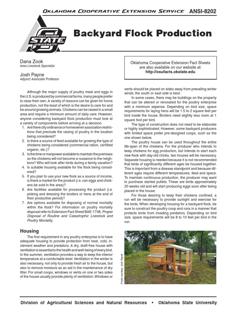 Backyard Flock Production Afs 8202 | PDF | Poultry Farming | Chicken