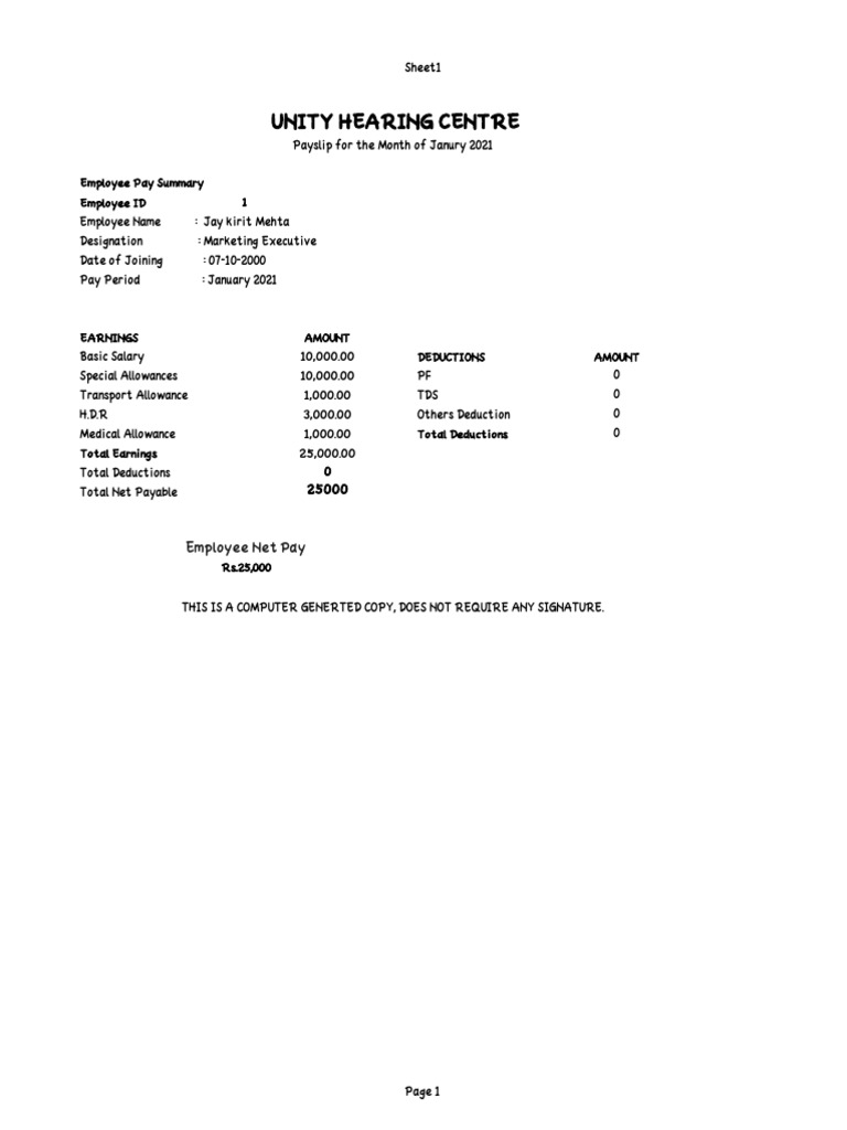 January 2021 Payslip for Jay Mehta | PDF