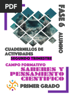 Dosificación Proyectos Parciales de Aula Segundo Grado Telesecundaria | PDF