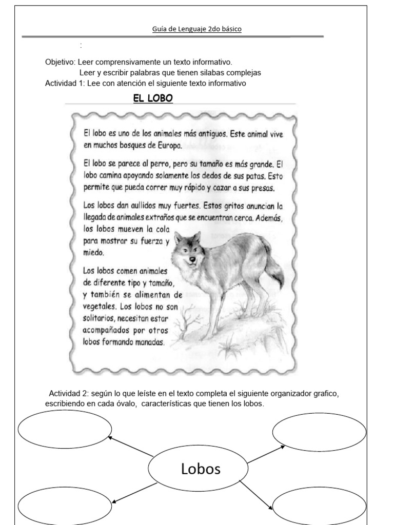 Guia Lenguaje Texto Informativo | PDF