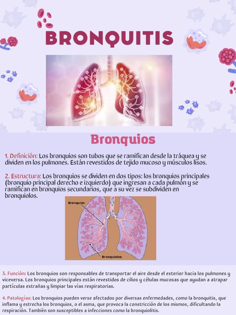 BRONQUITIS | PDF | Bronquitis | Pulmón