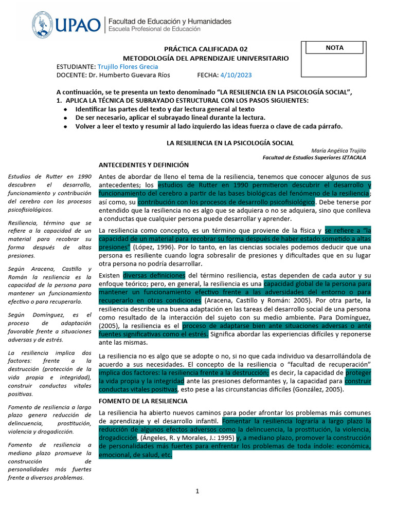 S5 - Práctica - S5 - Subrayado Estructural - Diagrama de Llaves | PDF | Resiliencia psicológica ...