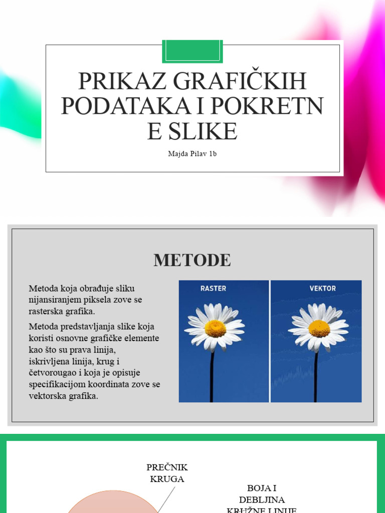 Prikaz Grafičkih Podataka I Pokretne Slike | PDF