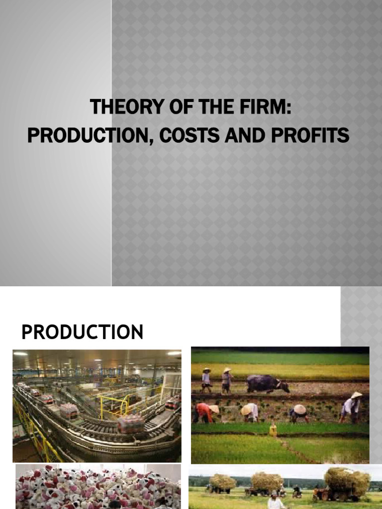 Theory of Production Costs and Profit Maximization | PDF | Production ...