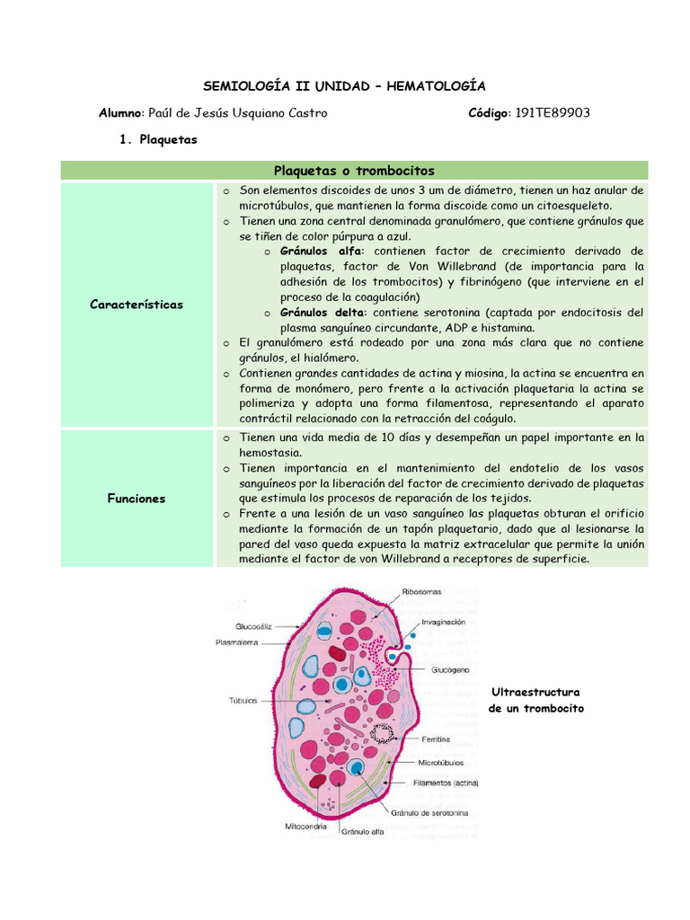 Función de plaquetas y hemostasia | PDF | Plaqueta | Coagulación