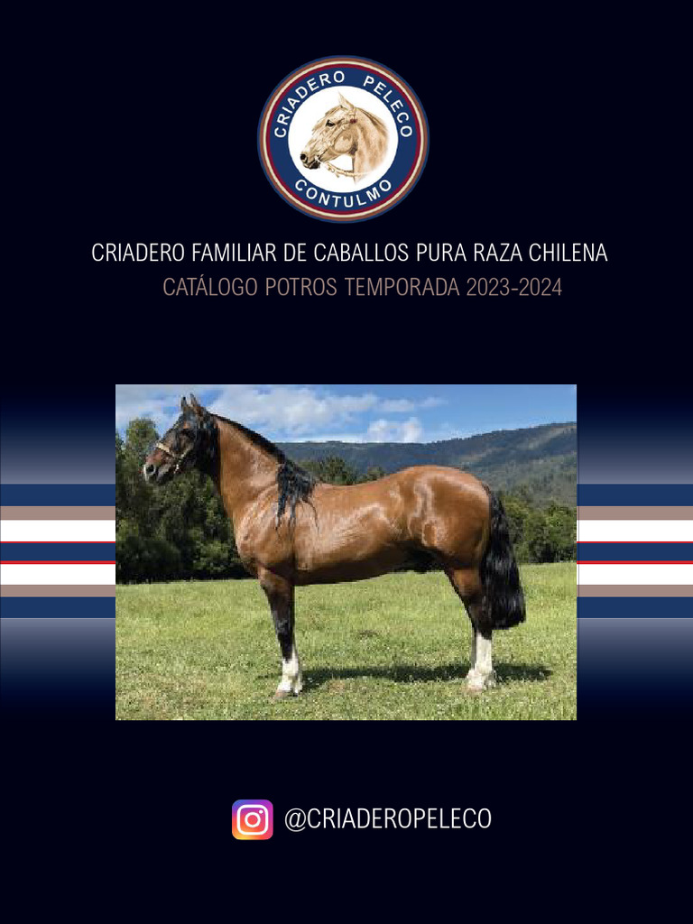 Catálogo de Potros Criadero Peleco 2023-2024 | PDF | Chile | Rodeo