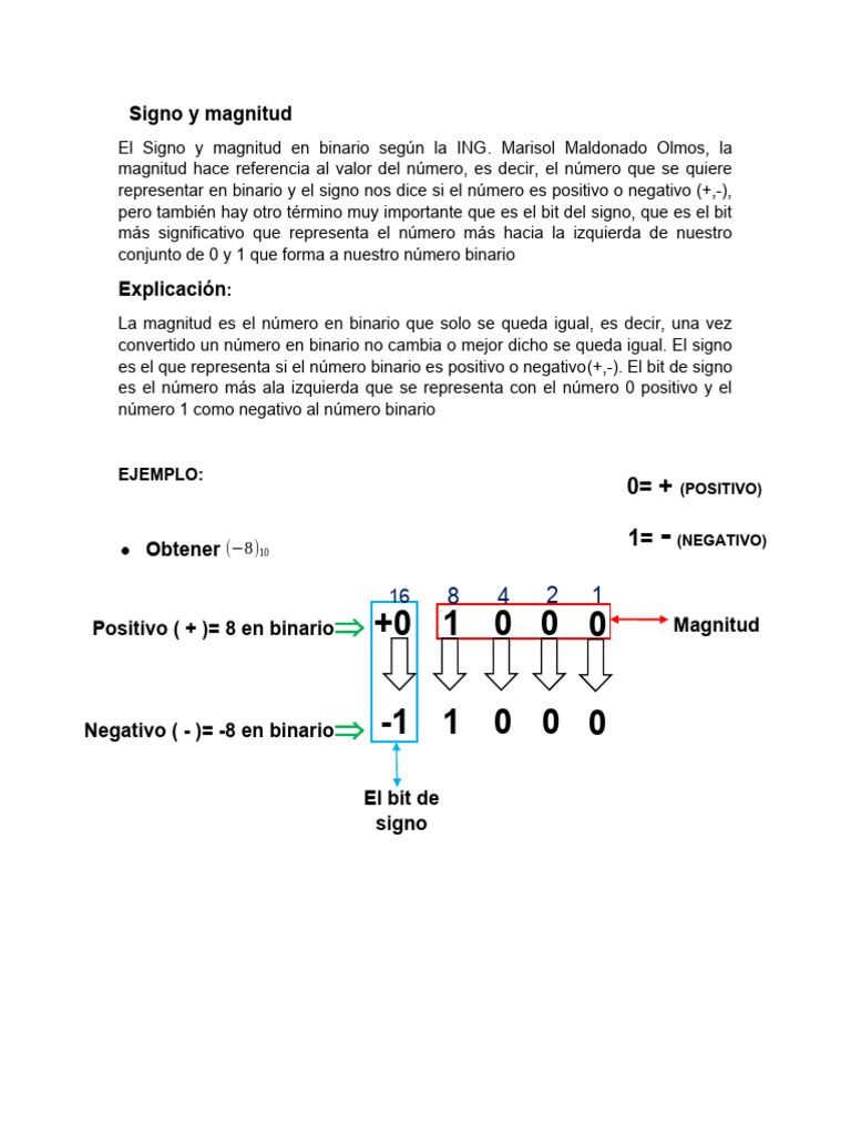 Signo y magnitud en sistemas numéricos | PDF | Aritmética | Notación