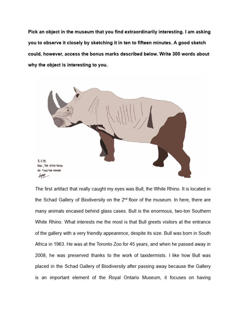 Fascinating Museum Artifacts: Bull & Moonfish | PDF