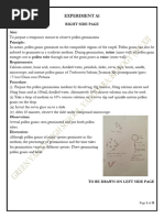 Biology Practical File Class 12 Cbse | PDF