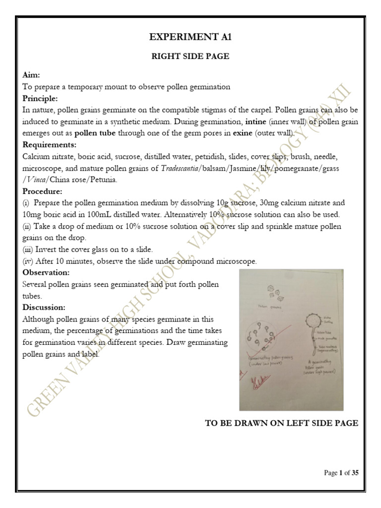 044 - PRACTICAL - JOURNAL - Biology Class12 | PDF | Mitosis | Meiosis