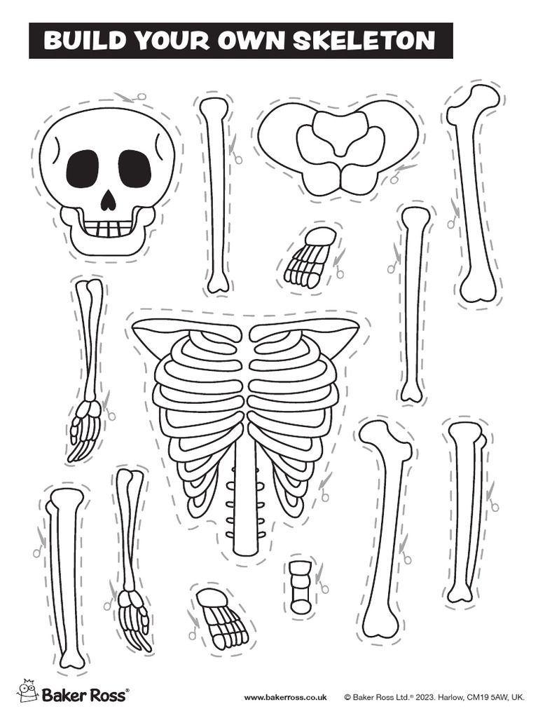 P316 Build A Skeleton | PDF