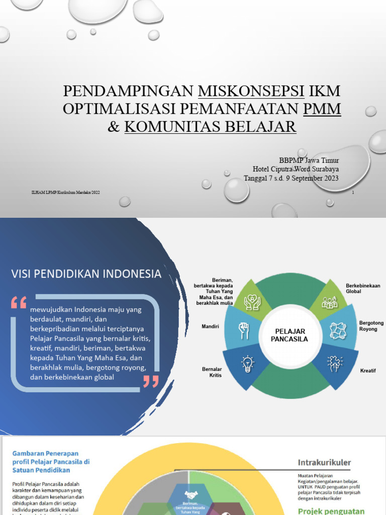 5.miskonsepsi IKM Dan Optimalisasi PMM | PDF