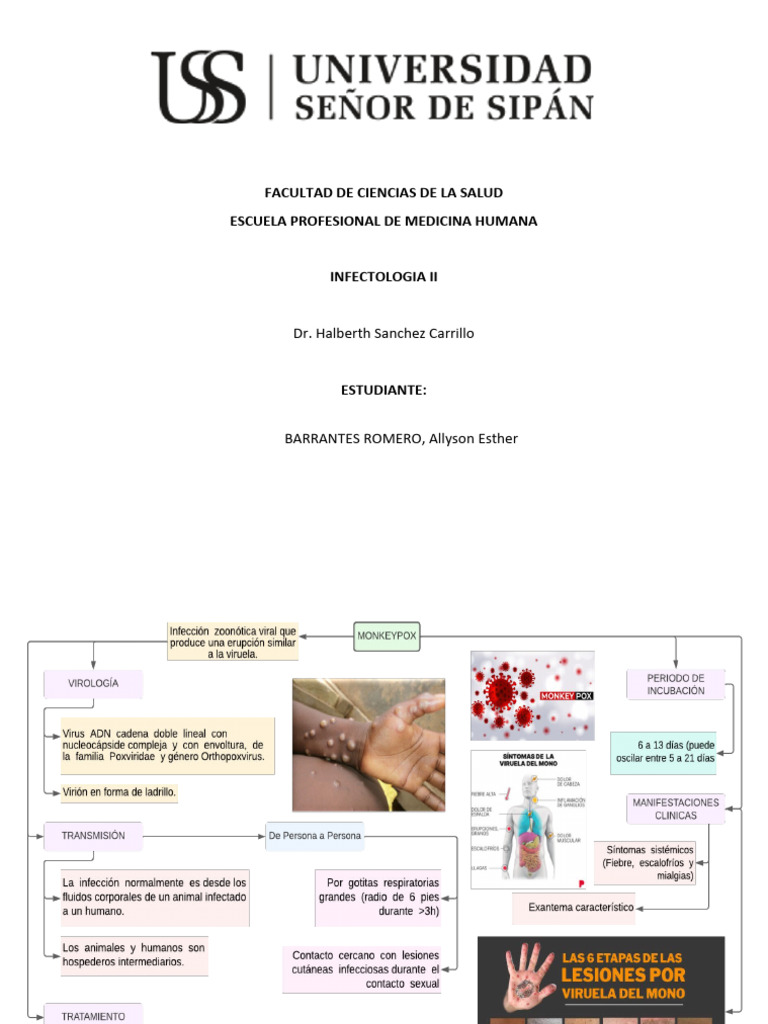 Pract 4 InfectoII MapaHerpes MonkeyP | PDF