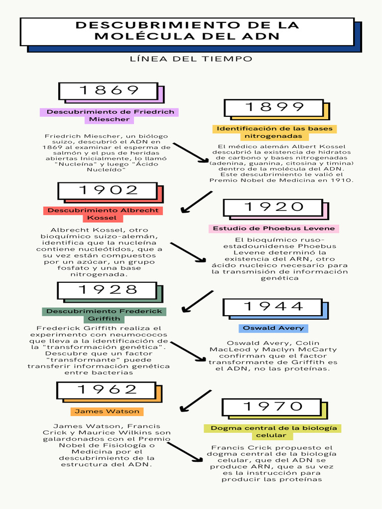 Linea Del Tiempo. Descubrimiento Del ADN-2 | PDF | Adn | Bioquímica