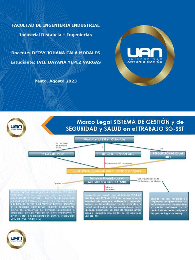 Mapa Conceptual - Marco Legal SST | Descargar gratis PDF | Valores | Justicia