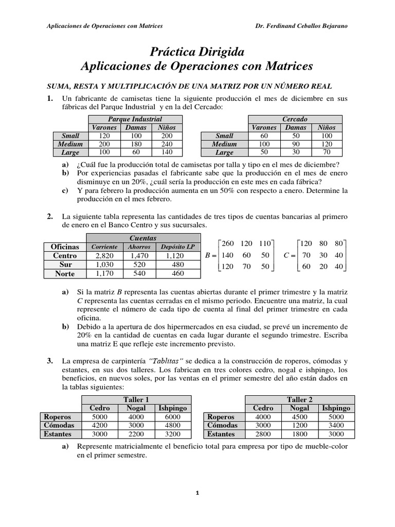 Práctica Dirigida Aplicaciones de Operaciones Con Matrices - 01 | PDF | Matriz (Matemáticas)