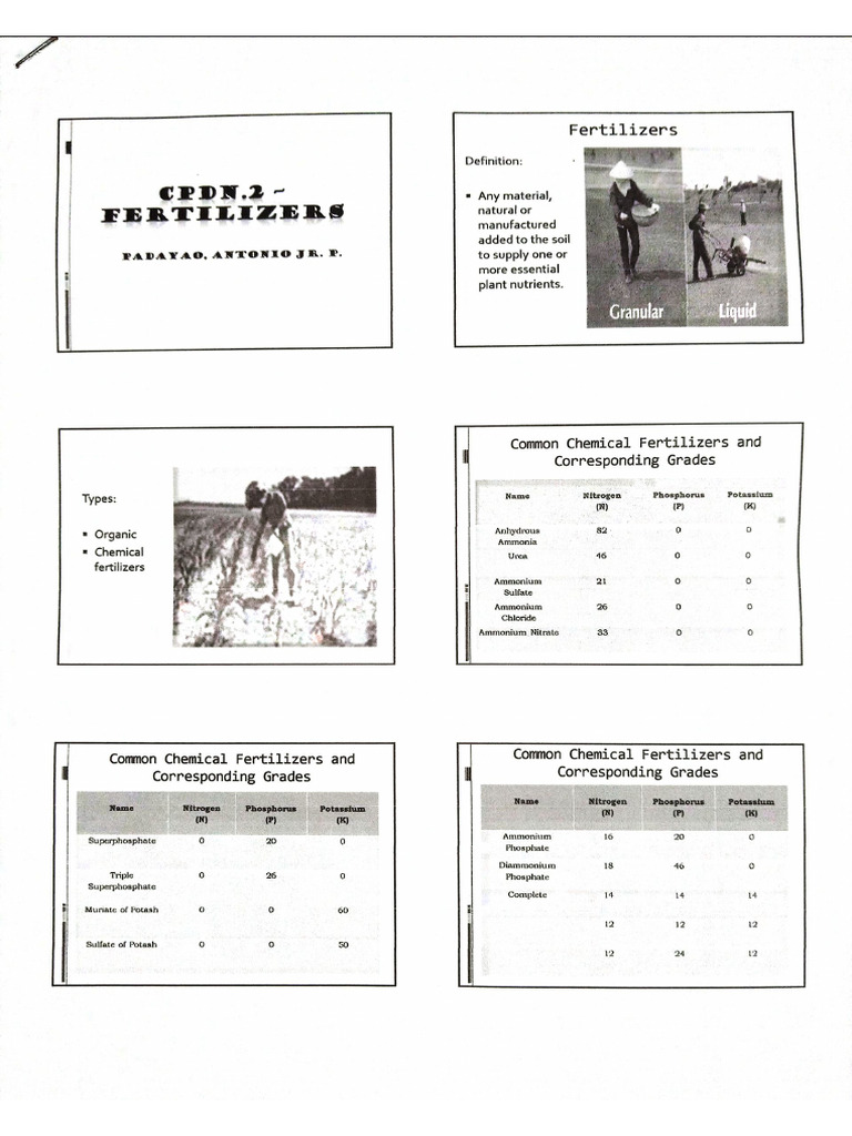 CPDN | PDF
