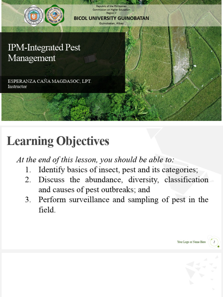 Chapter 2 Lesson 12 | PDF | Insects | Ecosystem