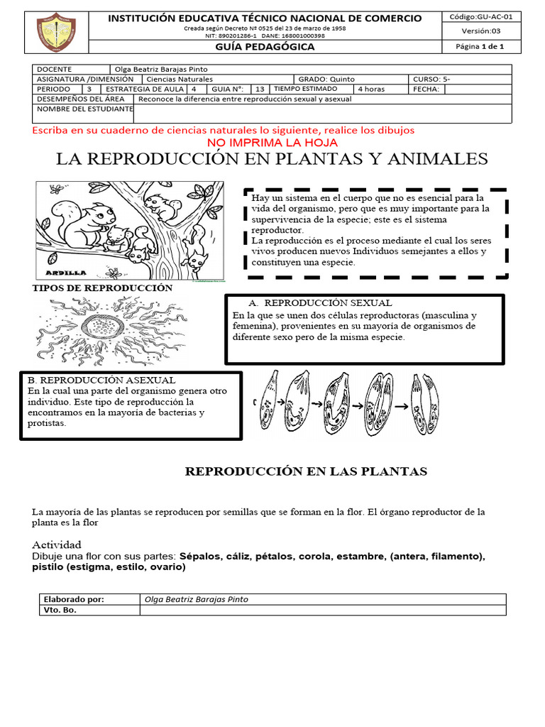 Guía 13 Reproducción en Plantas | PDF | Reproducción | Flores