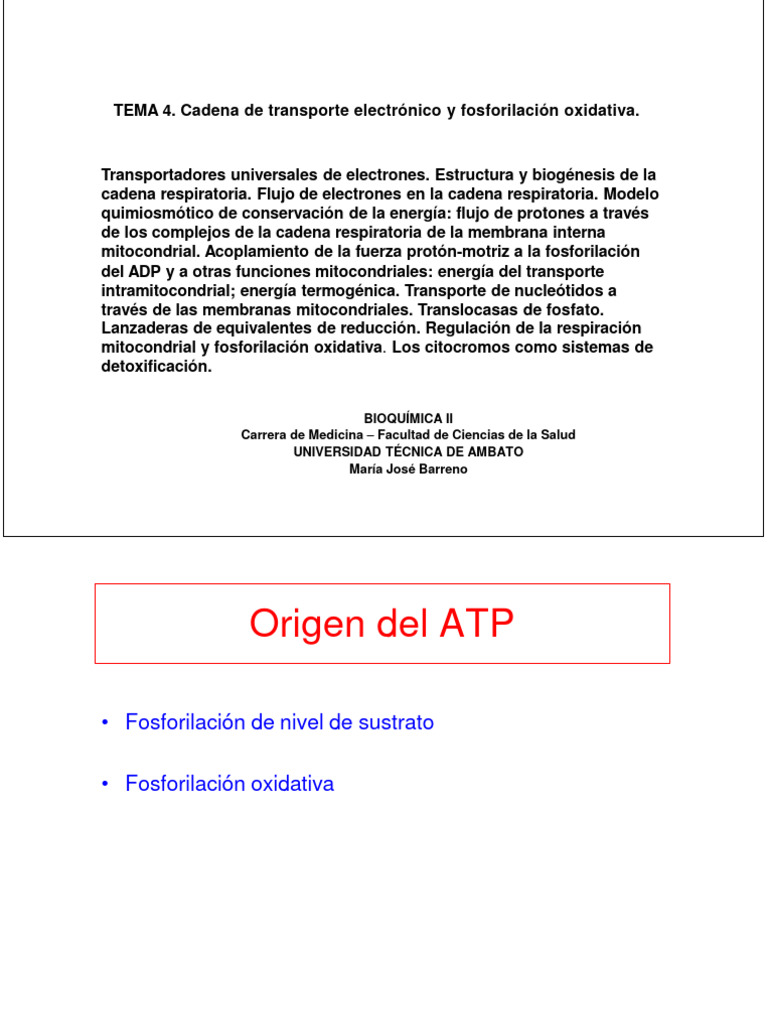 Tema4-Cadena de Transporte de Electrones | PDF | Cadena de transporte de electrones | Trifosfato ...