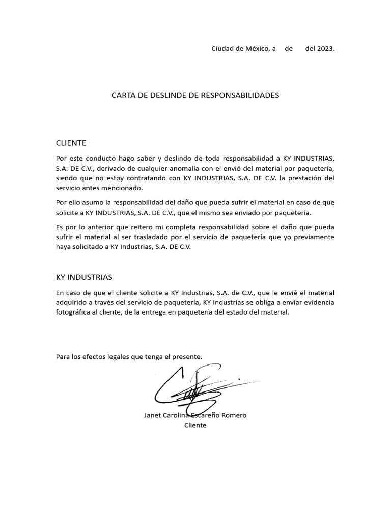 Carta de Responsabilidad | PDF Carta de Responsabilidad | PDF