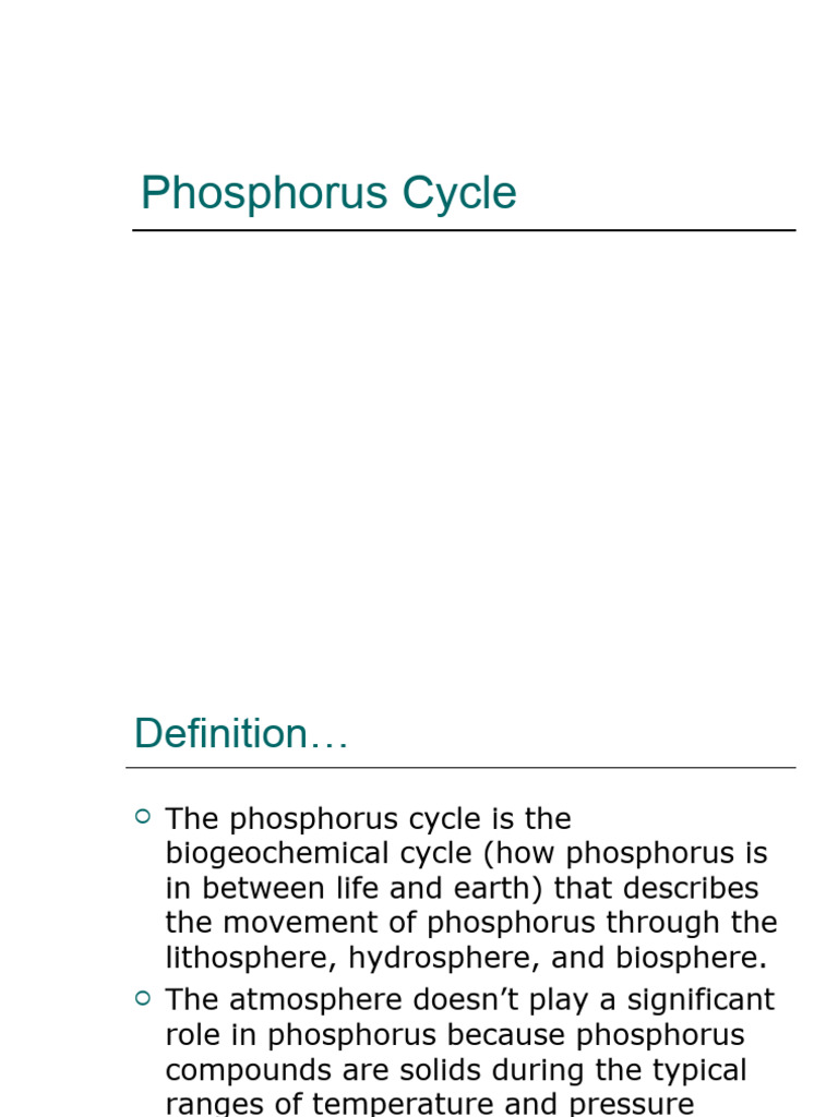 Phosphorus Cycle PPT | PDF