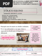 Guía sobre Cromoniquia y Alteraciones Ungueales | PDF | Clavo (anatomía ...