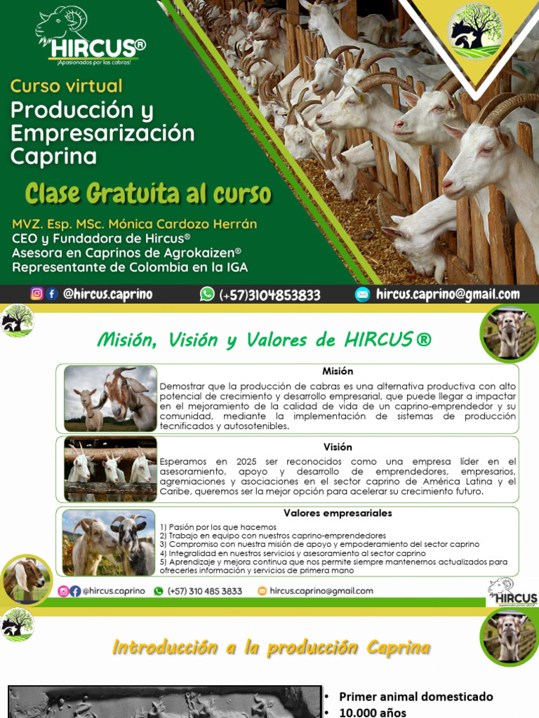 Clase en Producción Caprina Hircus-Agrokaizen | PDF | Alimentos | Cabra