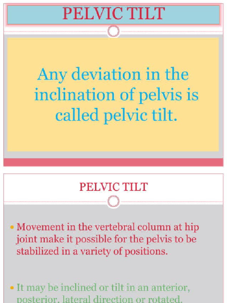 Posterior Pelvic Tilt