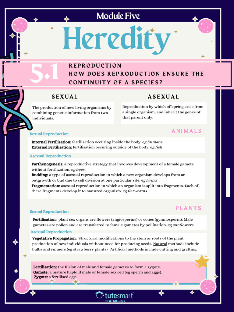 Module Five Revision Booklet Pdf Sexual Reproduction Fertilisation