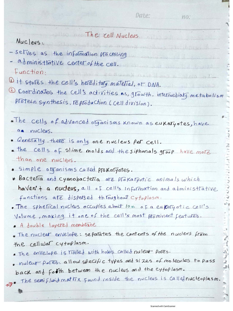 The Cell Nucleus | PDF