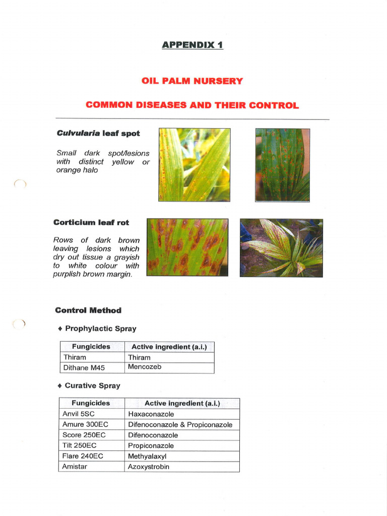 Common Disease and Their Control | PDF