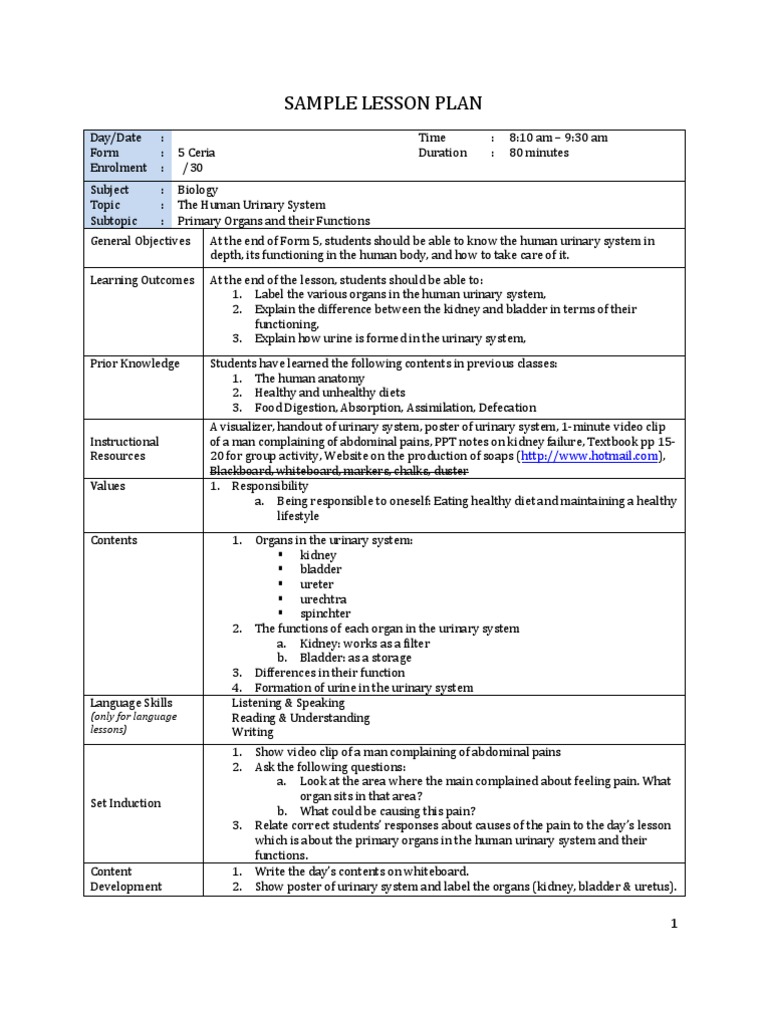 Sample Lesson Plan | PDF | Urinary System | Urine